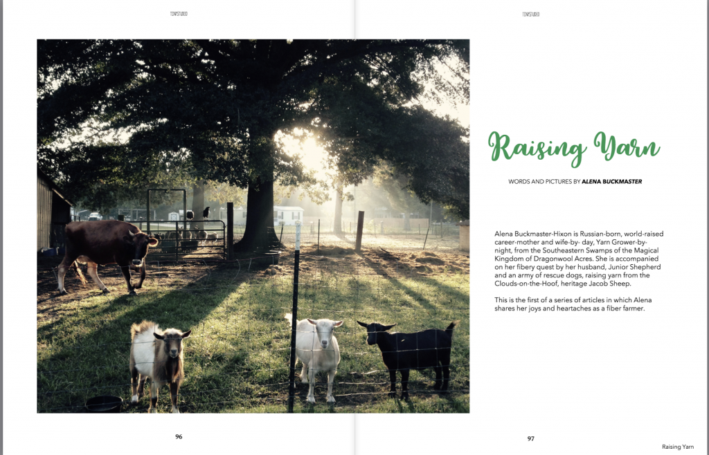 Welcome to tinyStudio Creative Life Magazine! – Fiberygoodness